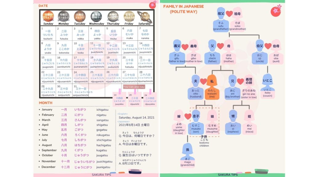 Nihongo Road Map -日本語学習のロードマップ-｜SAKURA TIPS