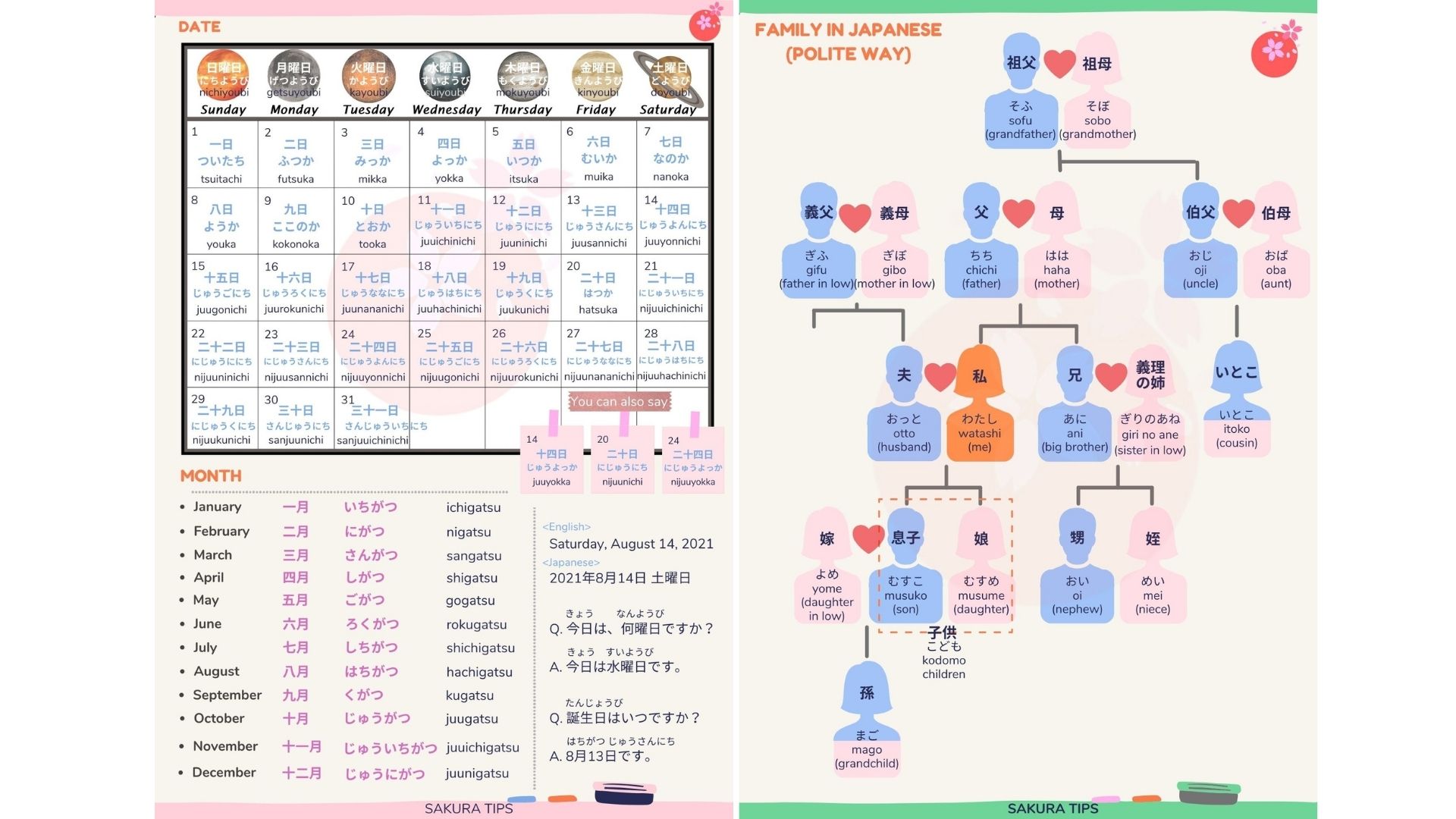 Nihongo Road Map -日本語学習のロードマップ-｜SAKURA TIPS